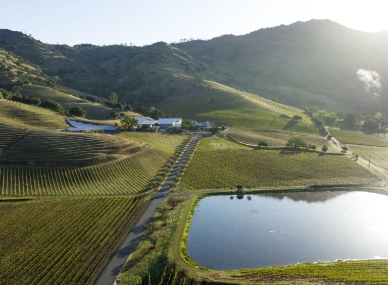 Home | Shafer Vineyards